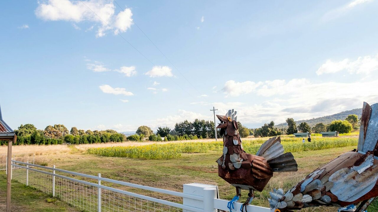 Attractions | VisitCanberra