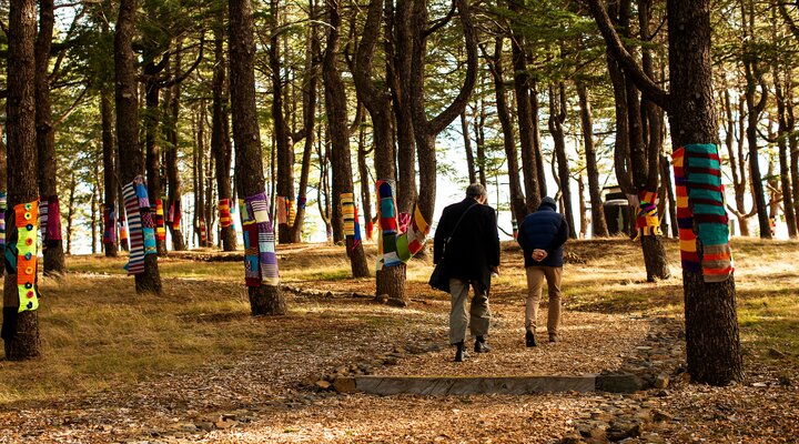 What's on in Canberra this winter | VisitCanberra