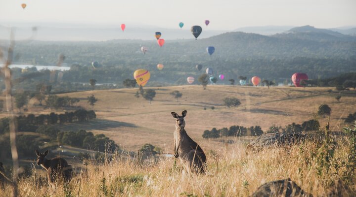 Top 10 things to do in Canberra | VisitCanberra