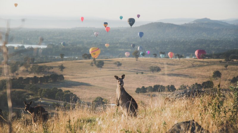 What's On in Canberra This Autumn | VisitCanberra