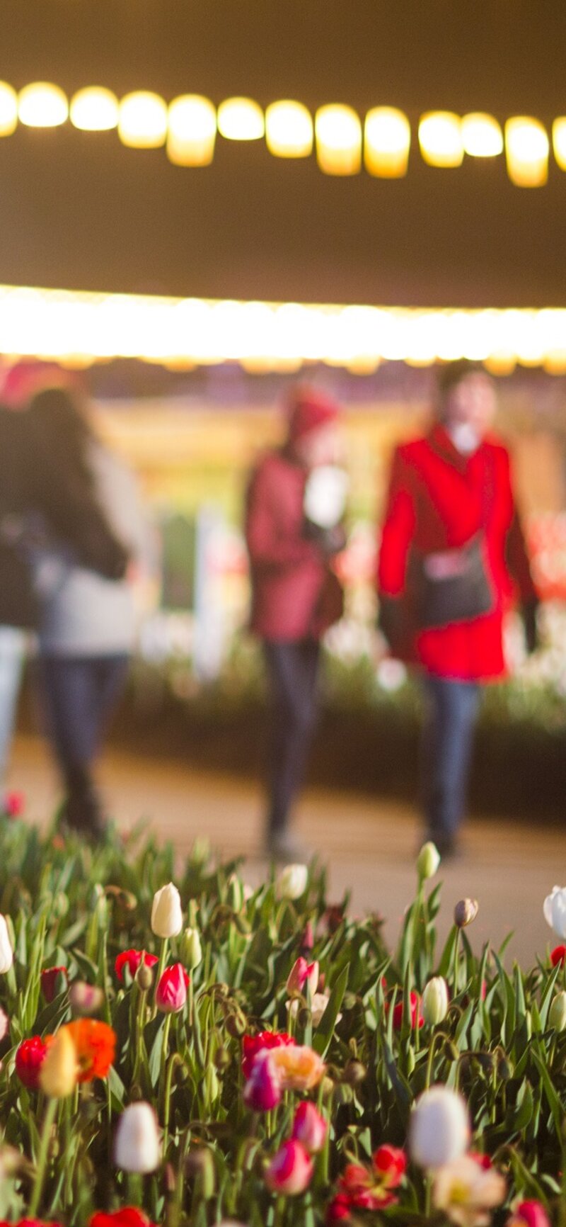 What’s on in Canberra | VisitCanberra