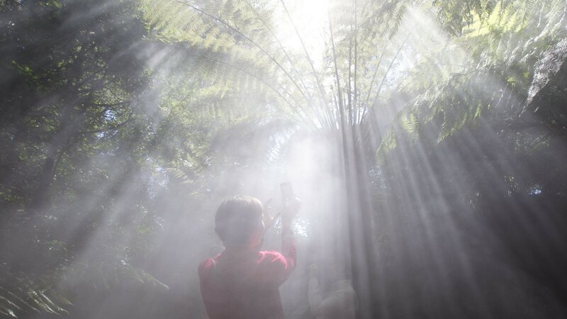 Attractions Visitcanberra