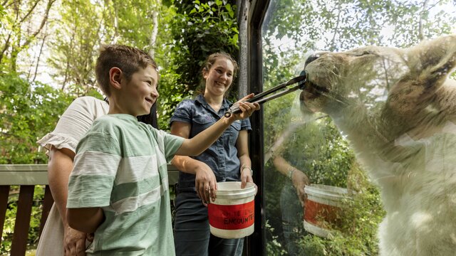 Top budget-friendly school holiday activities | VisitCanberra