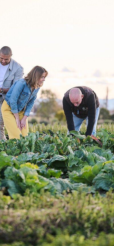 Food and drink | VisitCanberra