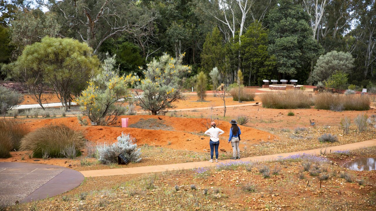 Canberra in Bloom | VisitCanberra
