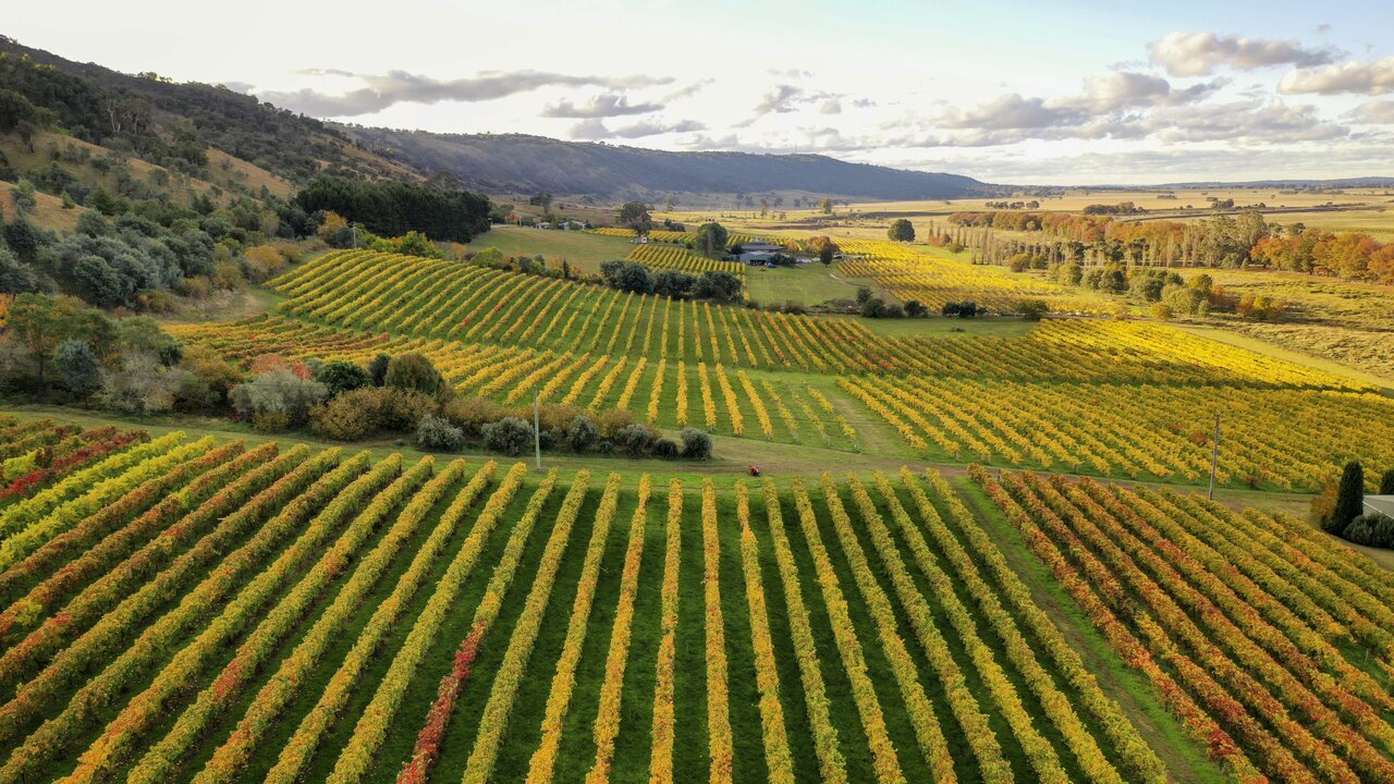 A local's guide to unique foodie experiences in Canberra | VisitCanberra