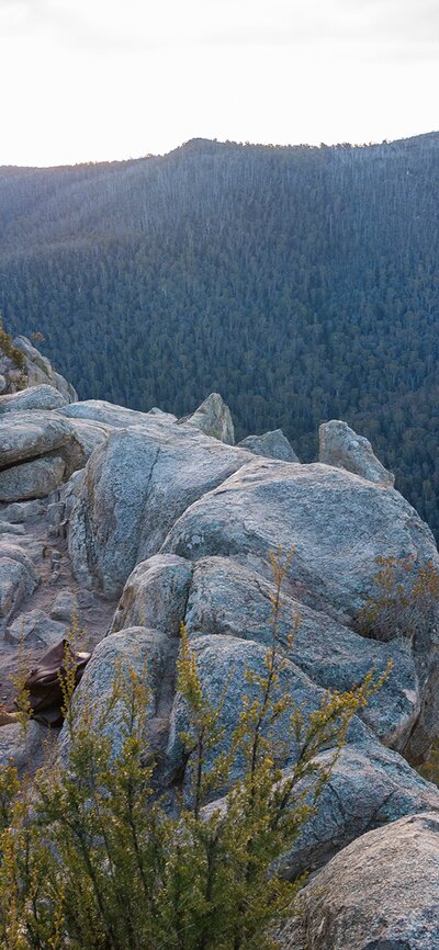Southern Nature Reserves and National Parks | VisitCanberra