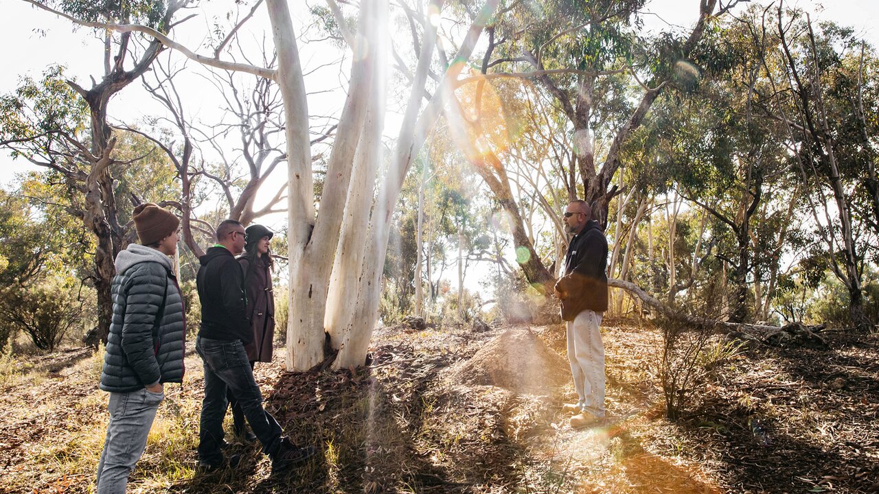 Step off the beaten track with these unique tours and experiences in ...