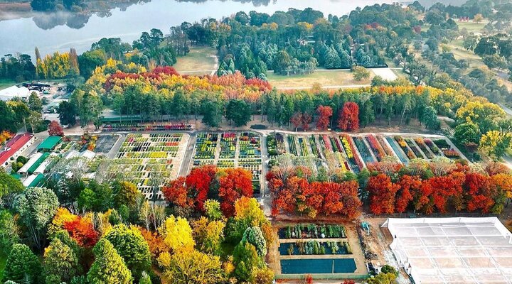 The Top Four Spots to Photograph Canberra’s Autumn Leaves | VisitCanberra