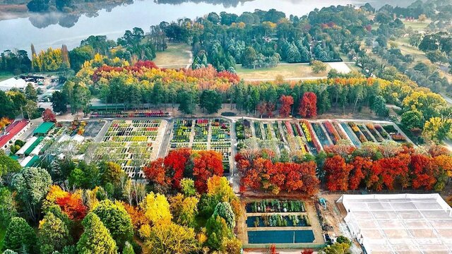 What's on in Canberra this autumn | VisitCanberra