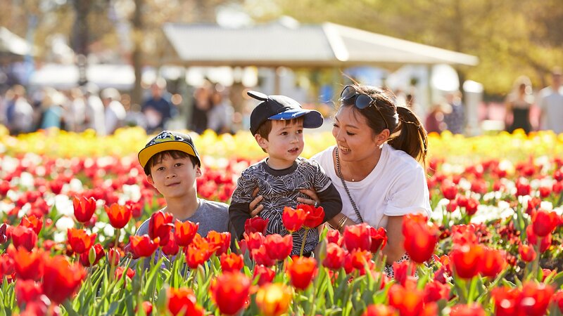 Top things not to miss at Floriade 2025 | VisitCanberra