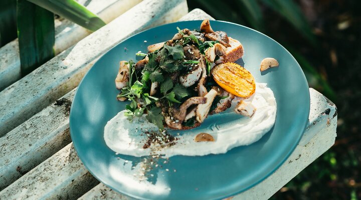 What's new for Canberra's restaurant and cafe scene | VisitCanberra