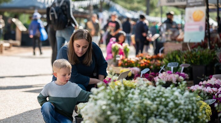 Must-See Events in Canberra for 2026 | VisitCanberra