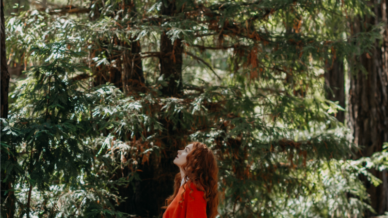 Hidden nature spots in Canberra you might not know about | VisitCanberra