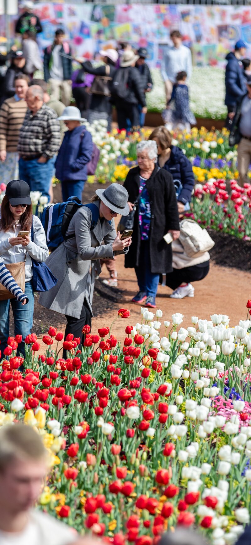 Floriade Itinerary | VisitCanberra