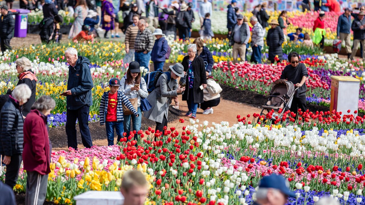 What’s on in spring | VisitCanberra